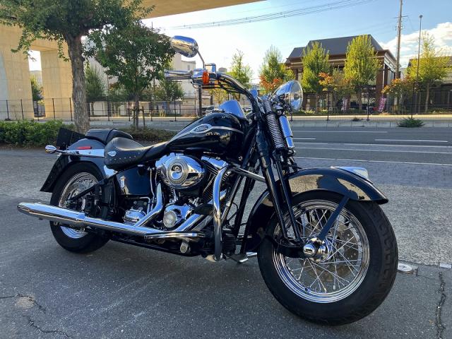 Harley-Davidson / FLSTSC | Kyoto Motor Club 京都モータークラブ