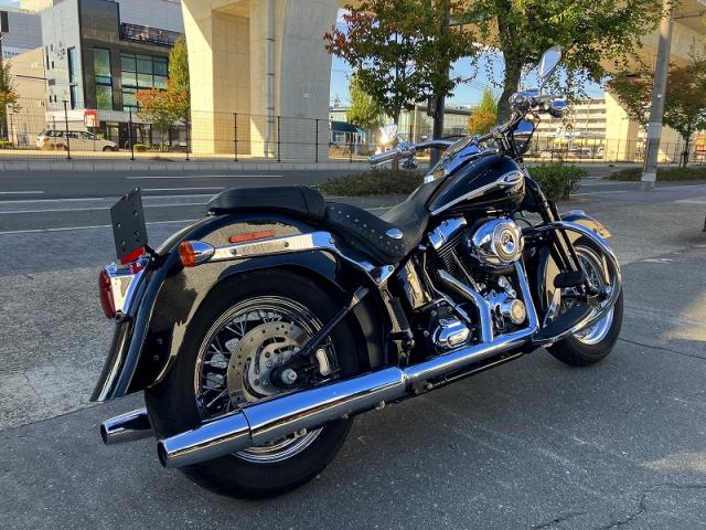 Harley-Davidson / FLSTSC | Kyoto Motor Club 京都モータークラブ