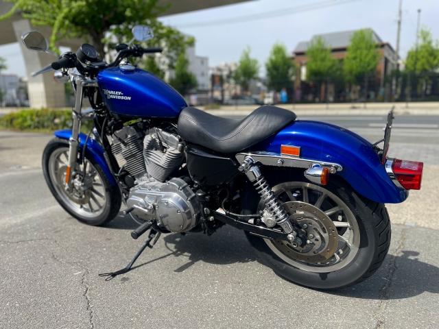 Harley-Davidson / XL883 | Kyoto Motor Club 京都モータークラブ