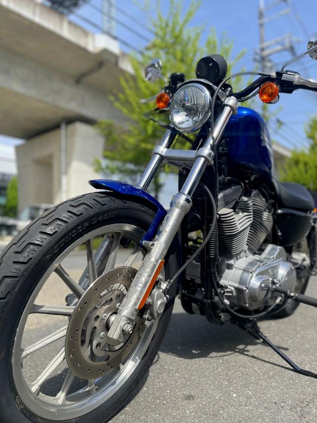 Harley-Davidson / XL883 | Kyoto Motor Club 京都モータークラブ