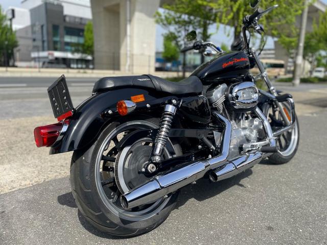 Harley-Davidson / XL883L | Kyoto Motor Club 京都モータークラブ