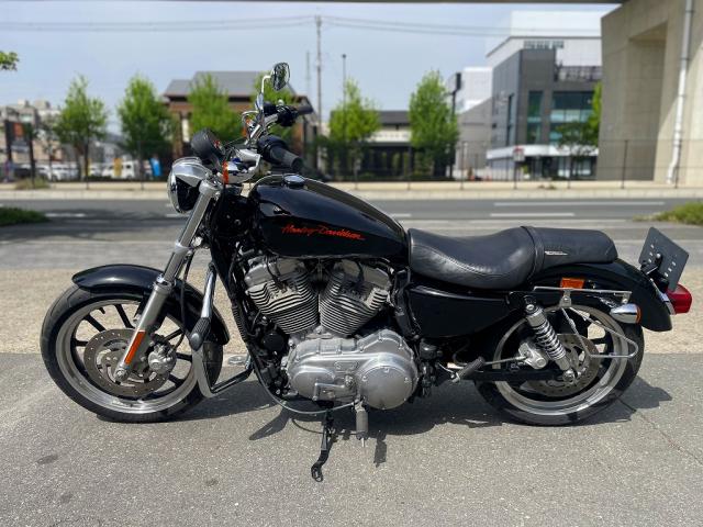 Harley-Davidson / XL883L | Kyoto Motor Club 京都モータークラブ