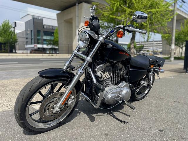 Harley-Davidson / XL883L | Kyoto Motor Club 京都モータークラブ