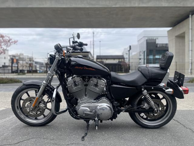Harley-Davidson / XL883L | Kyoto Motor Club 京都モータークラブ